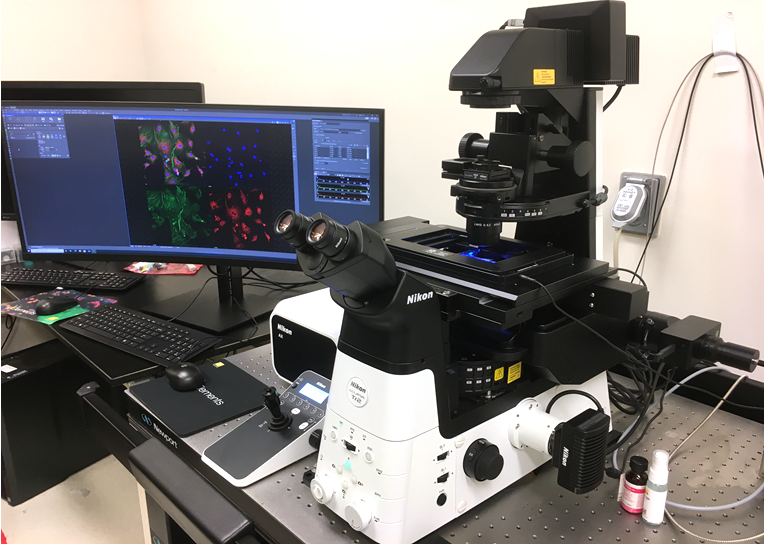 BIF - Nikon AX R laser scanning confocal microscope | Core Facilities